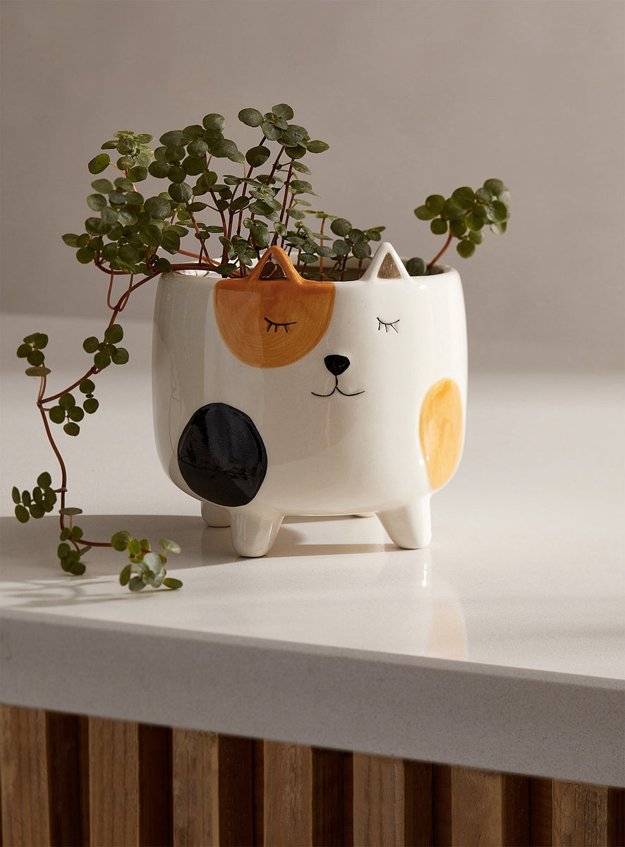 Spotted Calico Cat Planter – SparkDazzle