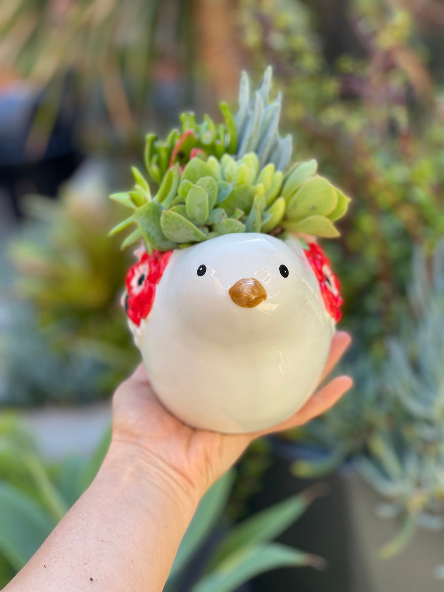 Floral Ceramic Bird Planter – SparkDazzle